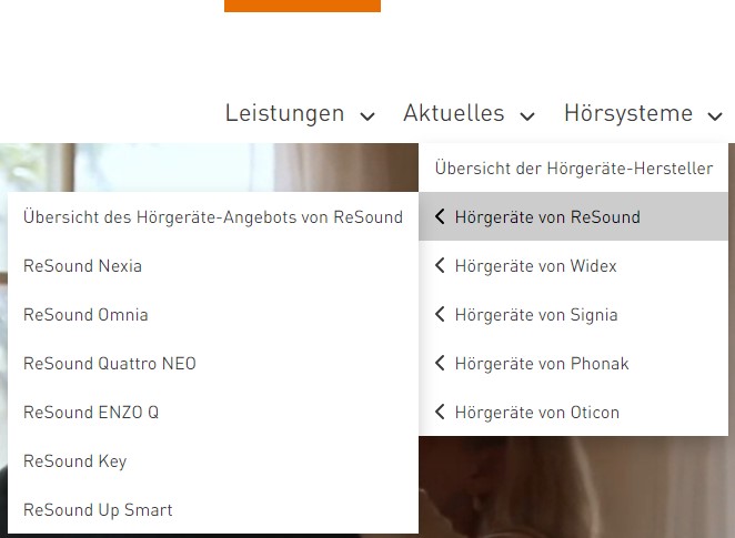 Suggestion for menu : Show Submenu for the primary menu on the left side and expand primary ...